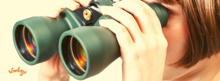 See Saw Seen: Get it right! | Verolingo Communications